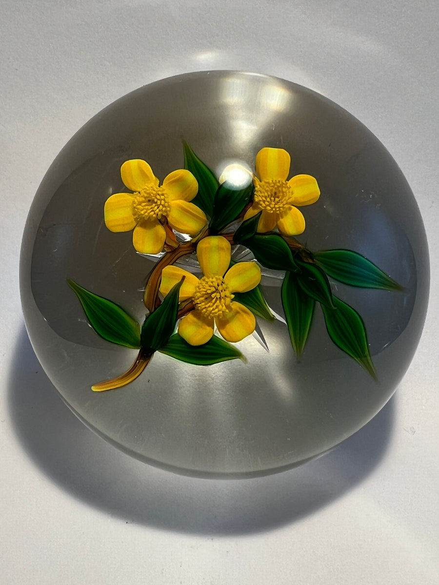 Debbie Tarsitano yellow flowers paperweight – Paperweightsales