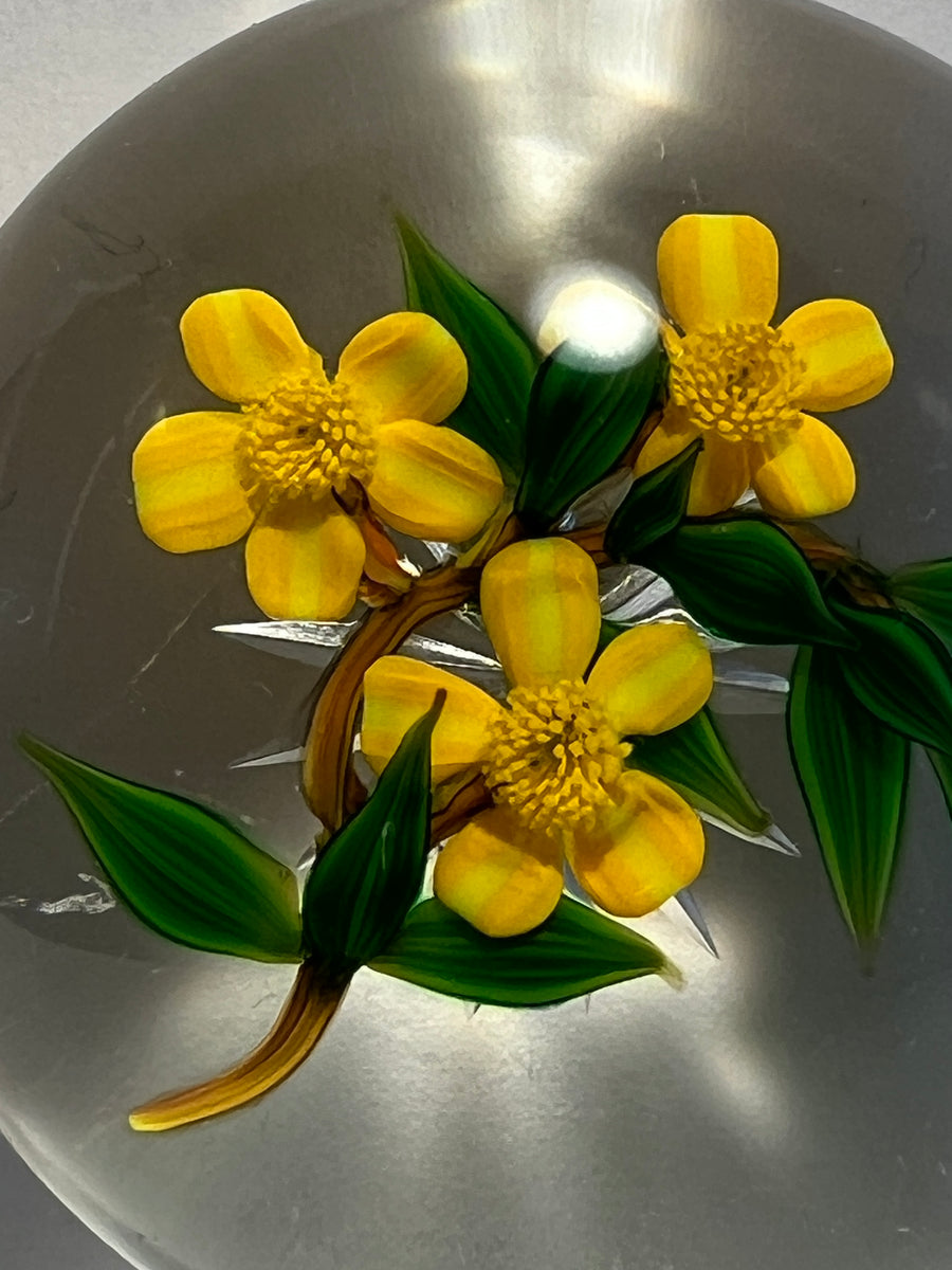 Debbie Tarsitano yellow flowers paperweight – Paperweightsales
