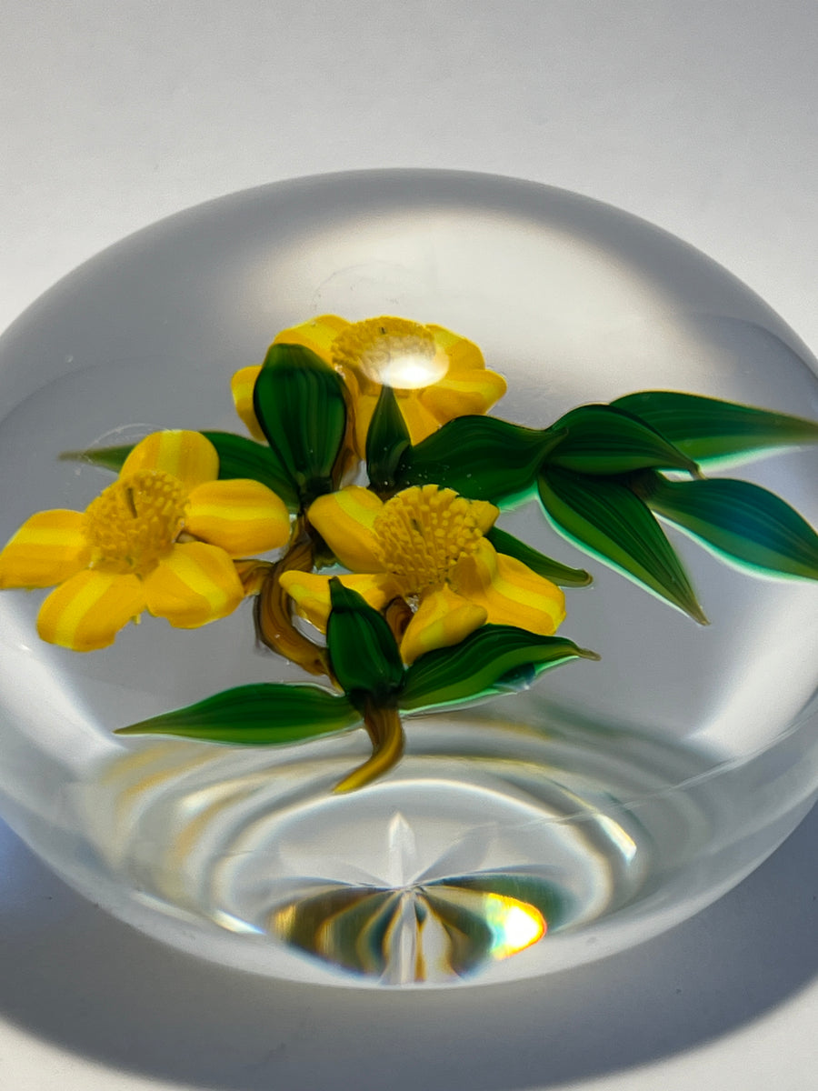 Debbie Tarsitano yellow flowers paperweight – Paperweightsales