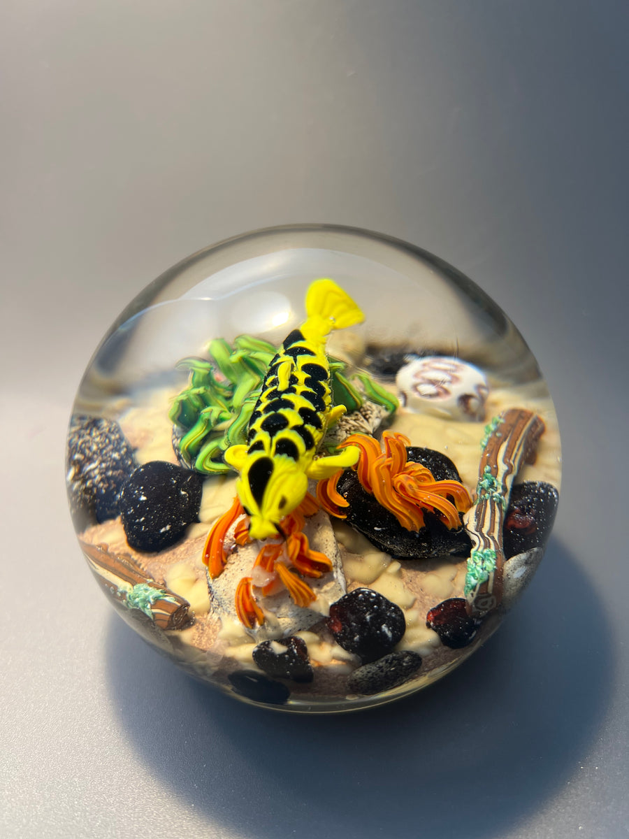 Mikael Hingant Fish Paperweight – Paperweightsales